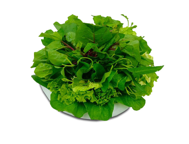 Vegetable/蔬菜系列 – Jiangnan Hotpot